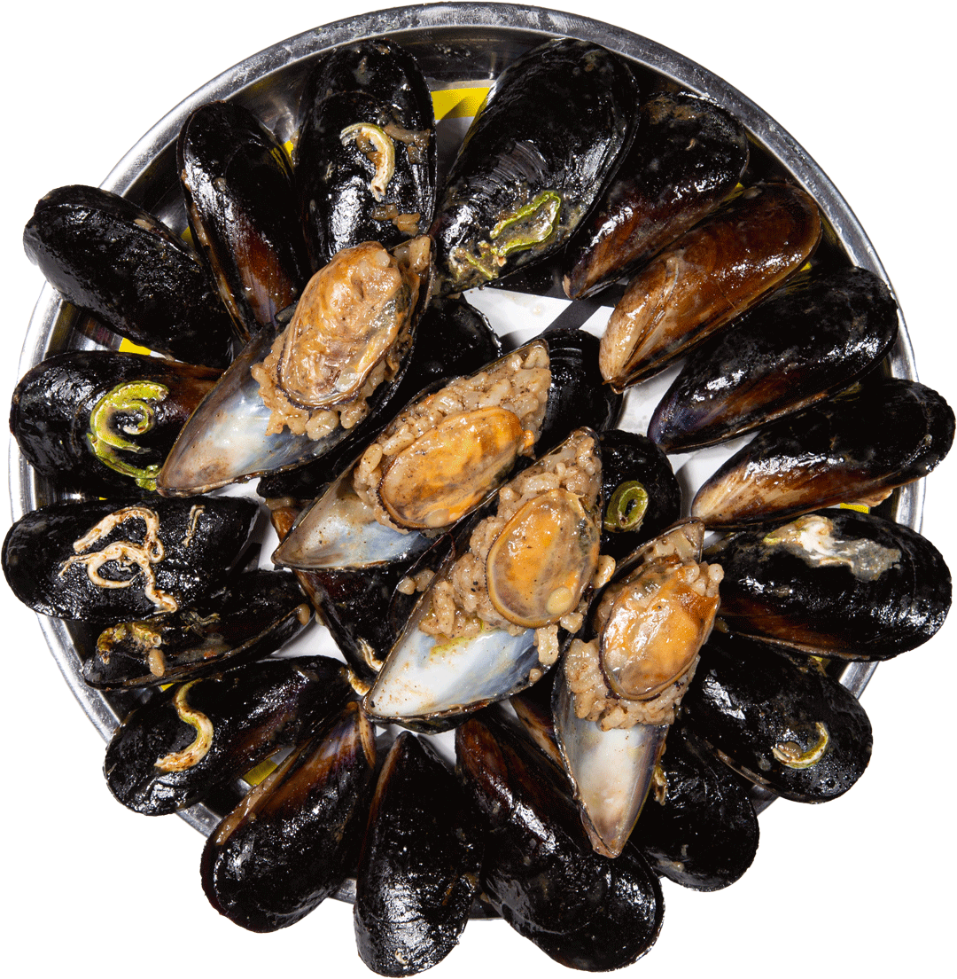 Midyeci Yasin – Taş Yok! Kum Yok! Çamur Yok!